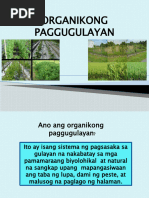 Sistemang Palaycheck para Sa Palayang May Patubig PDF | PDF
