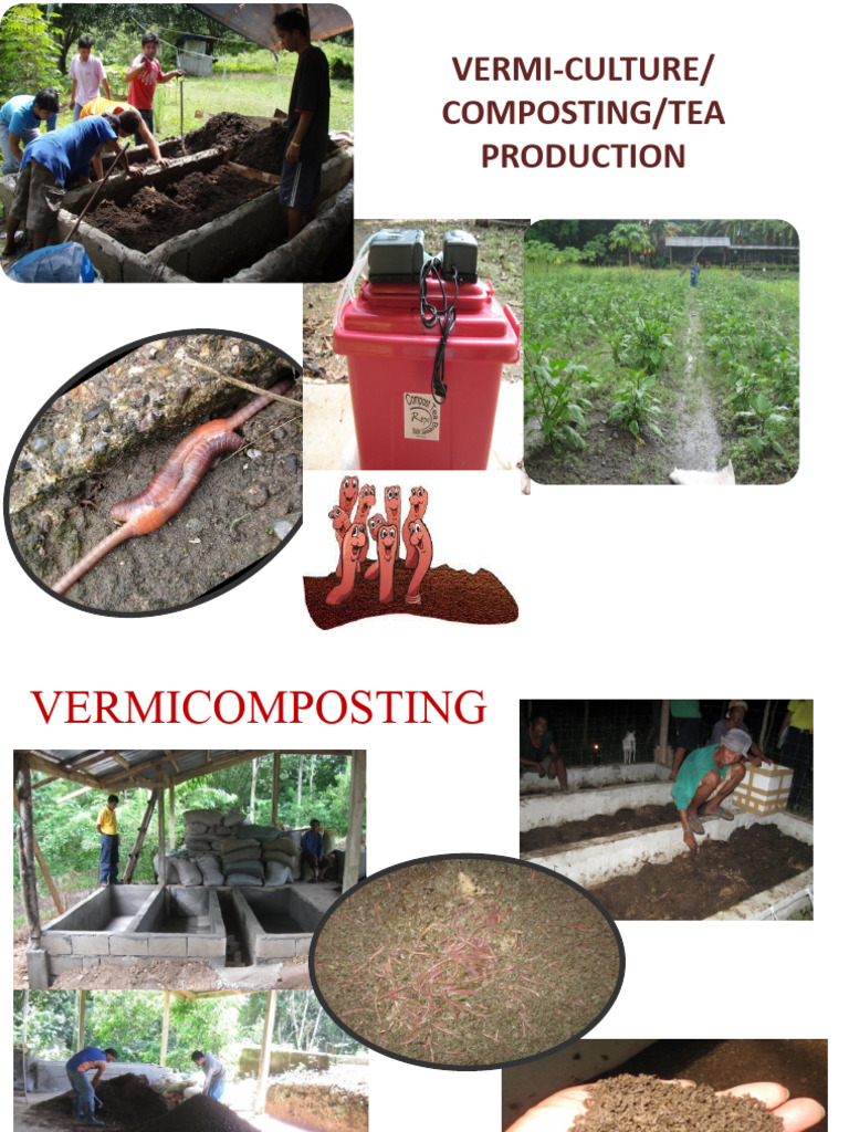 Vermi Composting | PDF