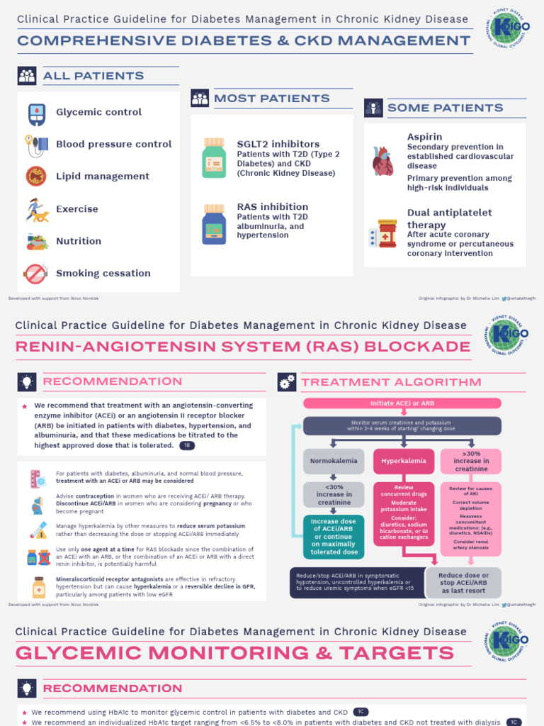 KDIGO DiabetesInfographics 2.23.22 | PDF | Chronic Kidney Disease ...