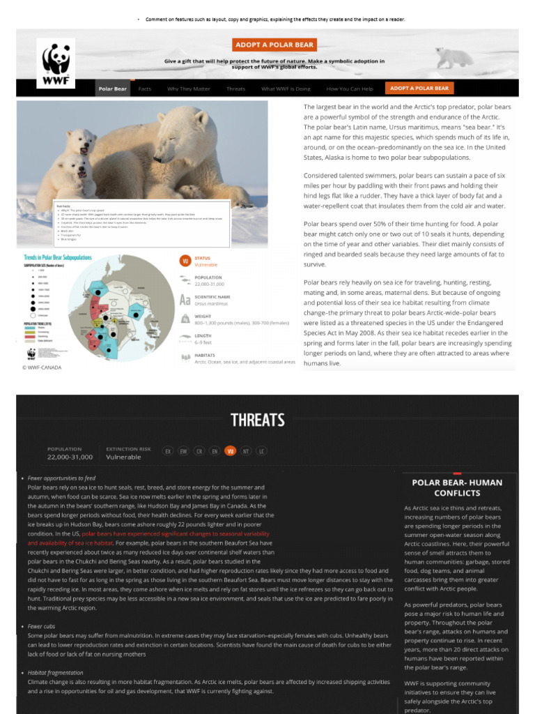 Polar Bear Essay Analysis Guide | PDF