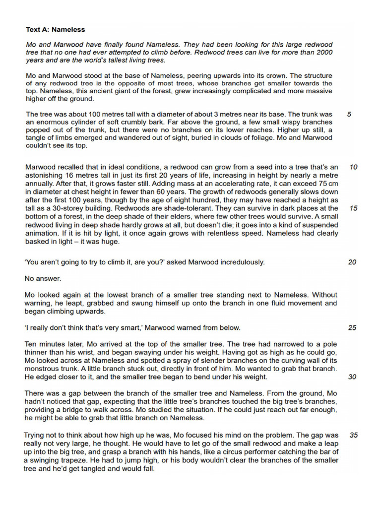 Comprehension Text A Assignment -Nameless | PDF