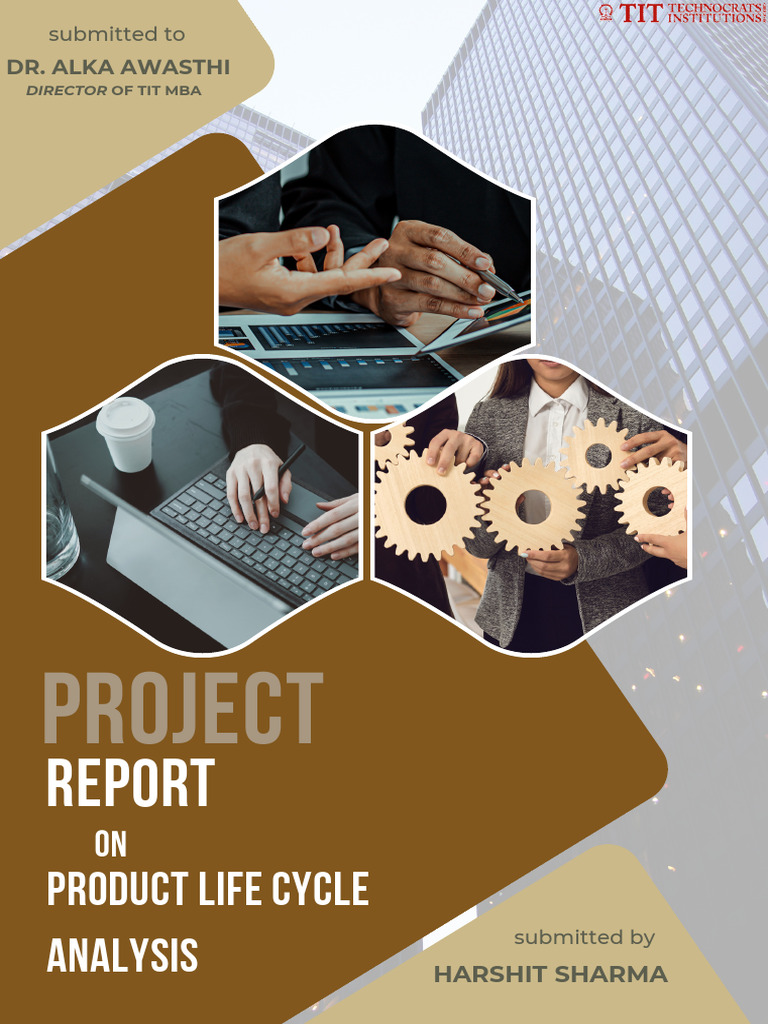 Product Life Cycle Analysis Report | PDF | Marketing | Pricing