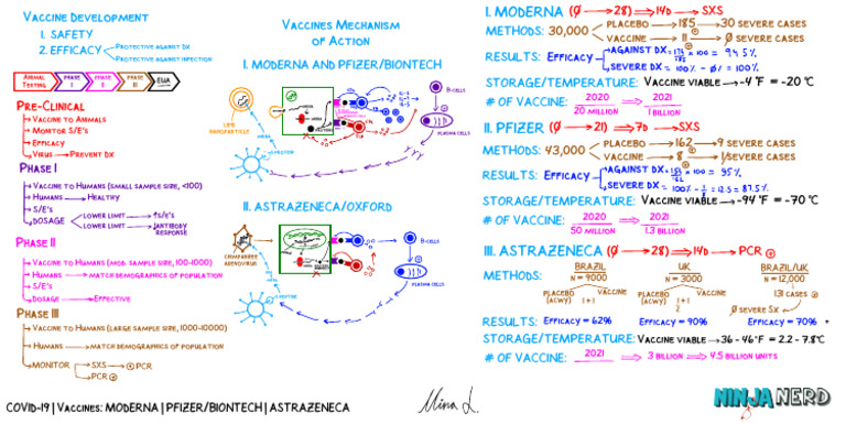 COVID 19 6 Vaccines MODERNA PFIZER BIONTECH ASTRAZENECA Key | PDF | Drugs | Public Health