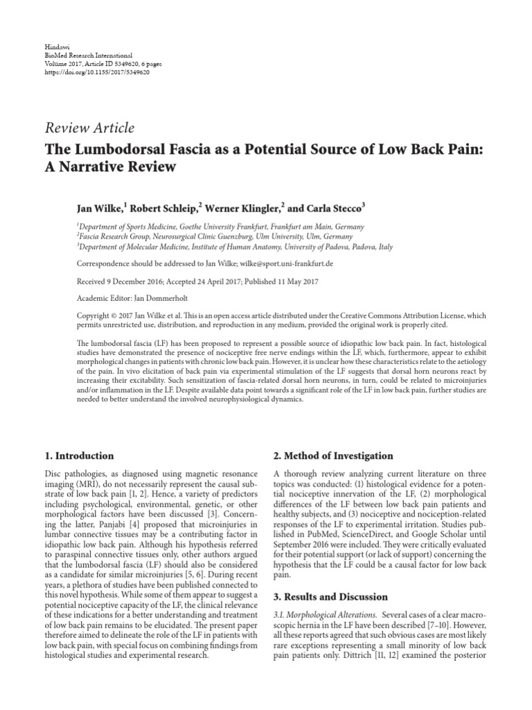 The Lumbodorsal Fascia As A Potential Source of Low Back Pain A ...