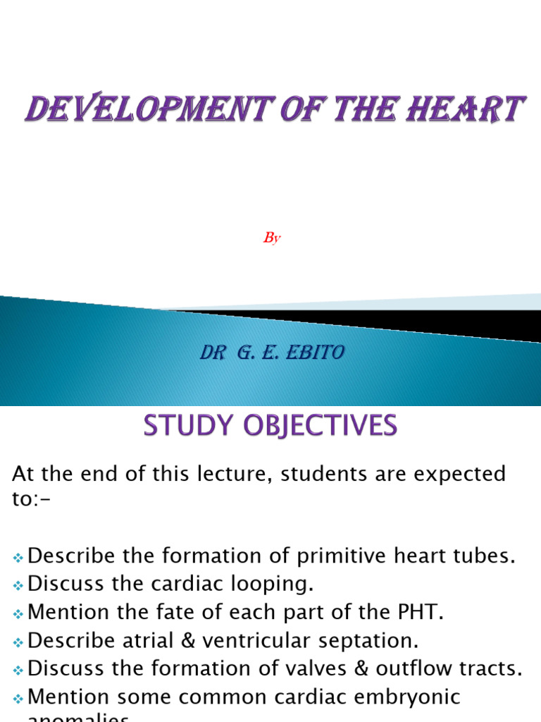 Emb of the Heart_125900 | PDF | Atrium (Heart) | Ventricle (Heart)