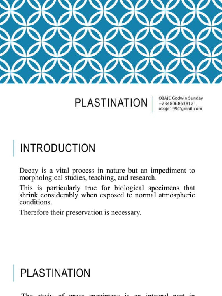 Plastination | PDF