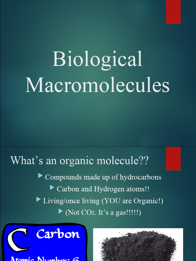 Biological Macromolecules Week 7 | PDF | Proteins | Rna