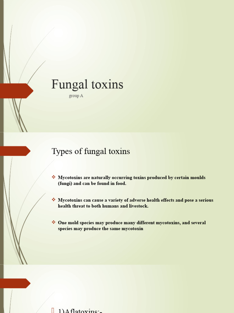 Fungal Toxins | PDF | Mycotoxin | Medical Specialties