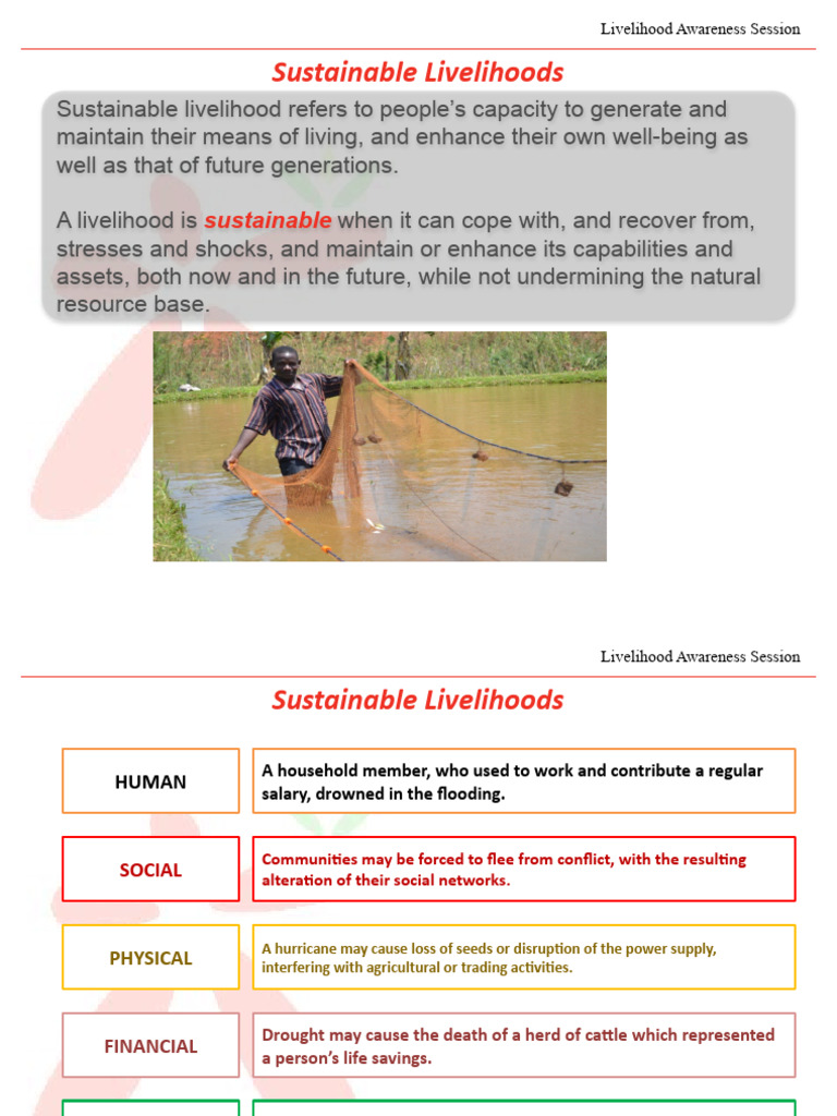 en_US_1_1_1 Sustainable Livelihood Framework | PDF | Psychological ...