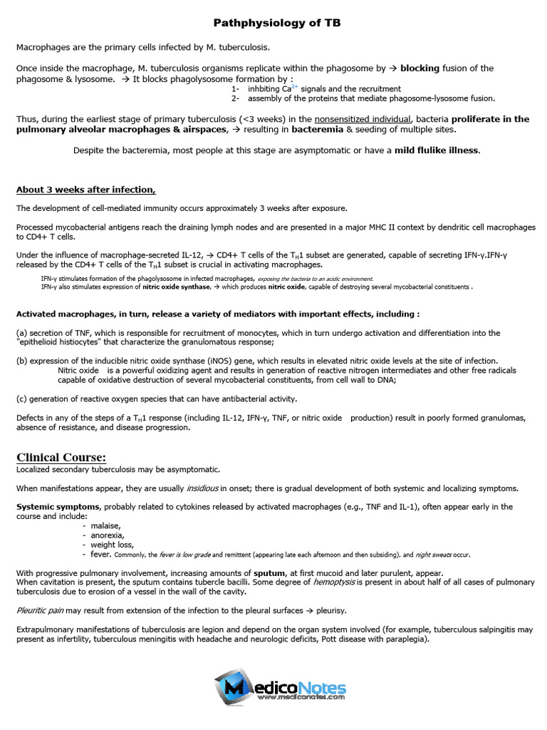 Respi | PDF | Tuberculosis | Mycobacterium Tuberculosis