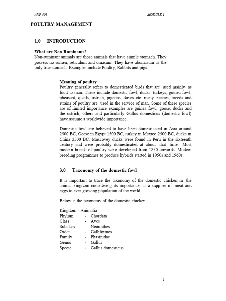 Overview of Non-Ruminant Animals | PDF | Digestion | Chicken