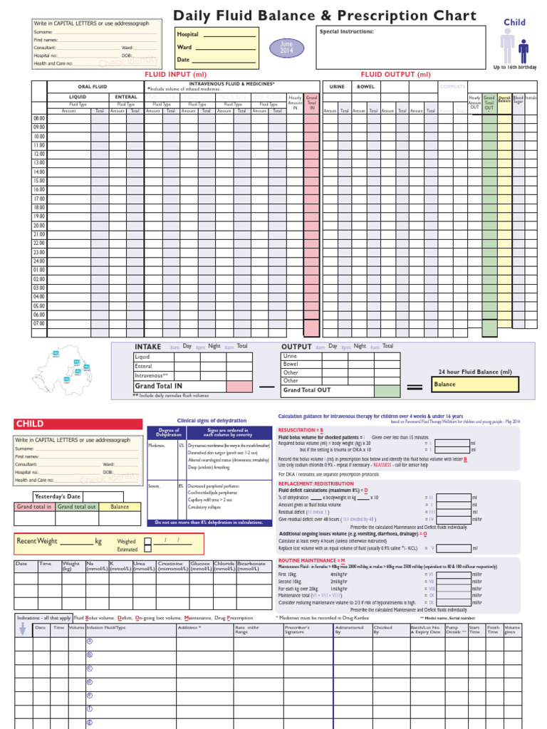 Daily Fluid Balance Chart for Children | PDF | Intravenous Therapy ...