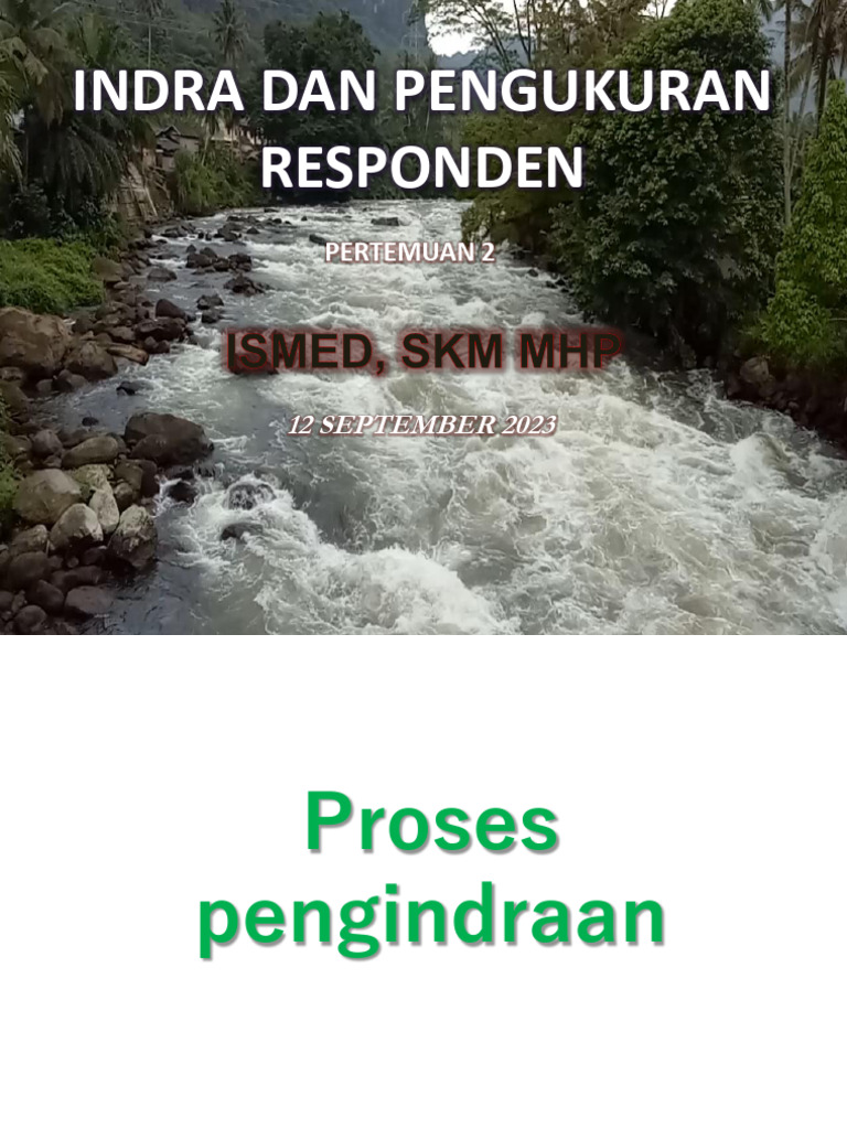 Indra Dan Pengukuran Respon | PDF
