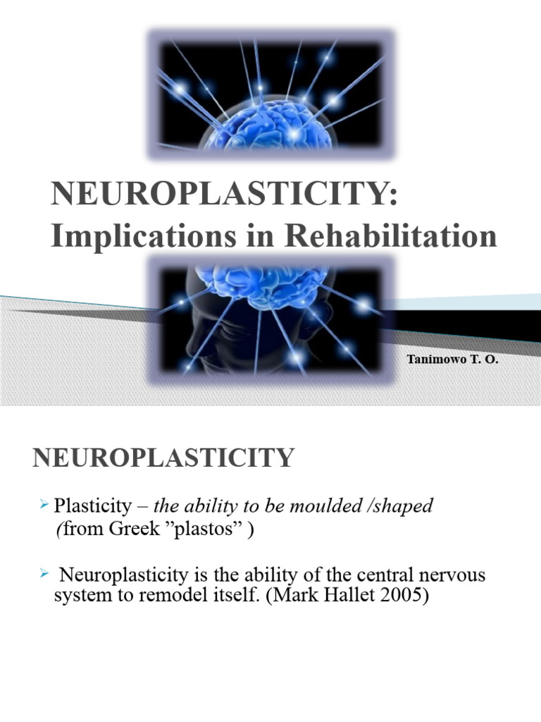 Neuroplasticity in Rehabilitation | PDF | Neuroplasticity | Neuron