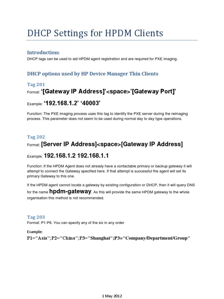 HPDM DHCP Settings | PDF | Data Transmission | Internet Architecture