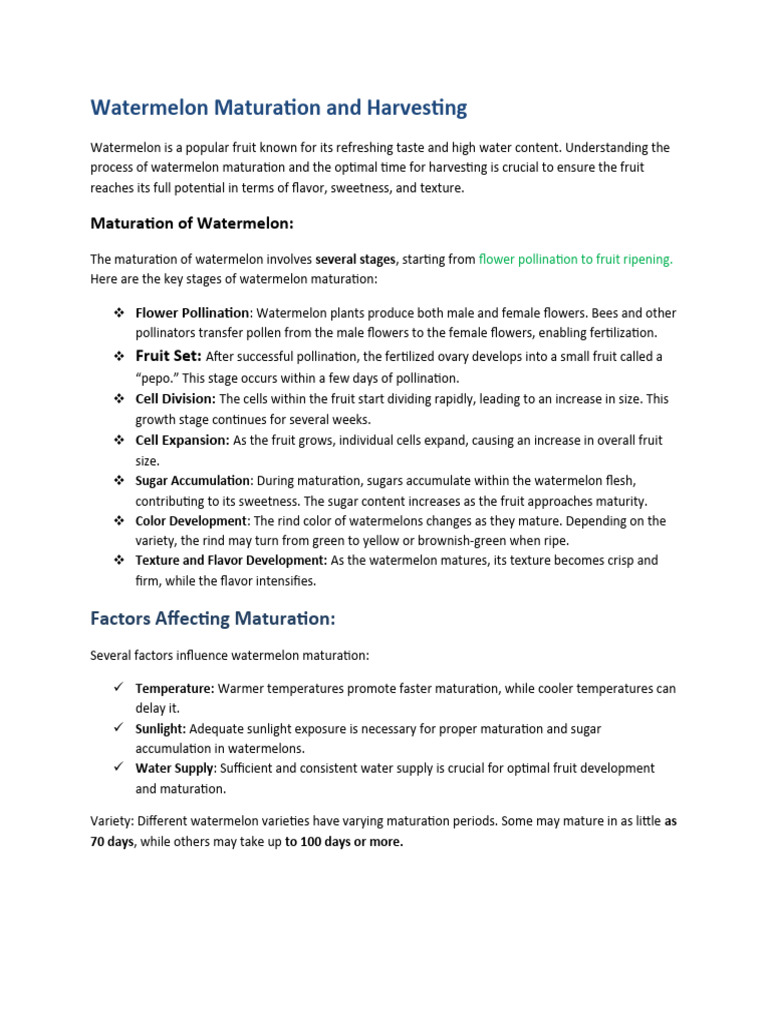Watermelon Maturation and Harvesting | PDF | Watermelon | Fruit