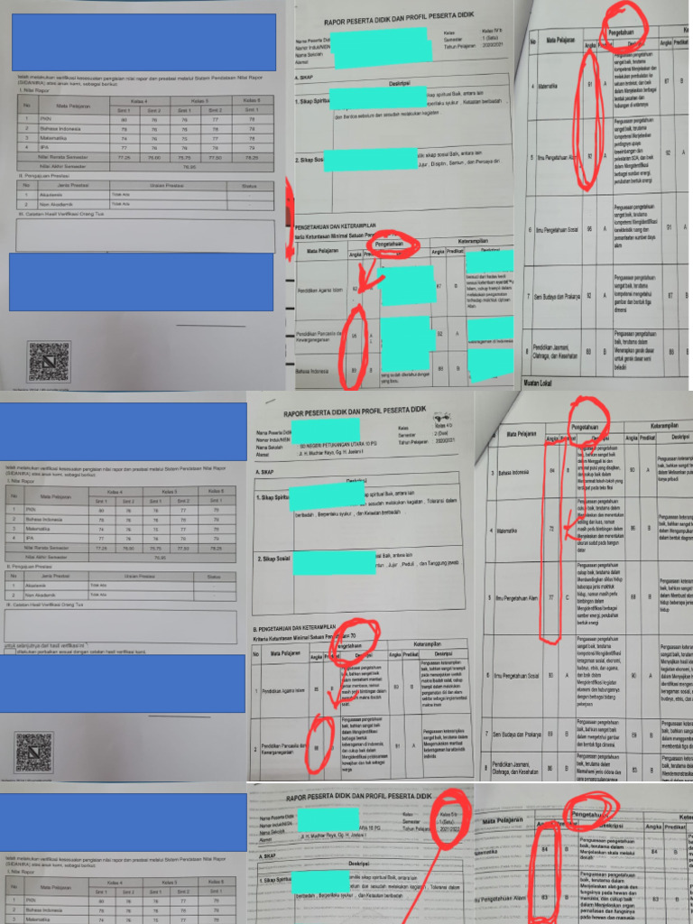 Penjelasan Cara Mengisi Sidanira | PDF