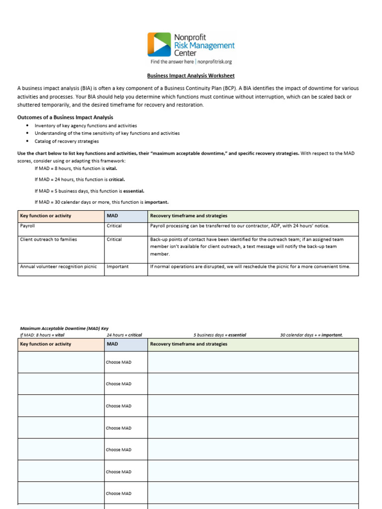 BIA Worksheet Fillable PDF | PDF | Business