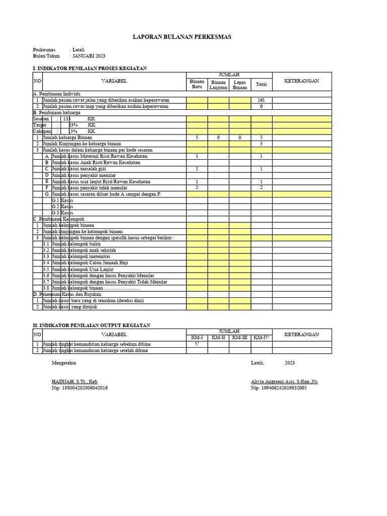 Laporan Bulanan Perkesmas | PDF