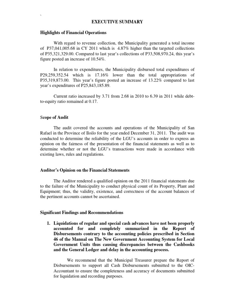 San Rafael Executive Summary 2011 | PDF | Financial Audit | Audit