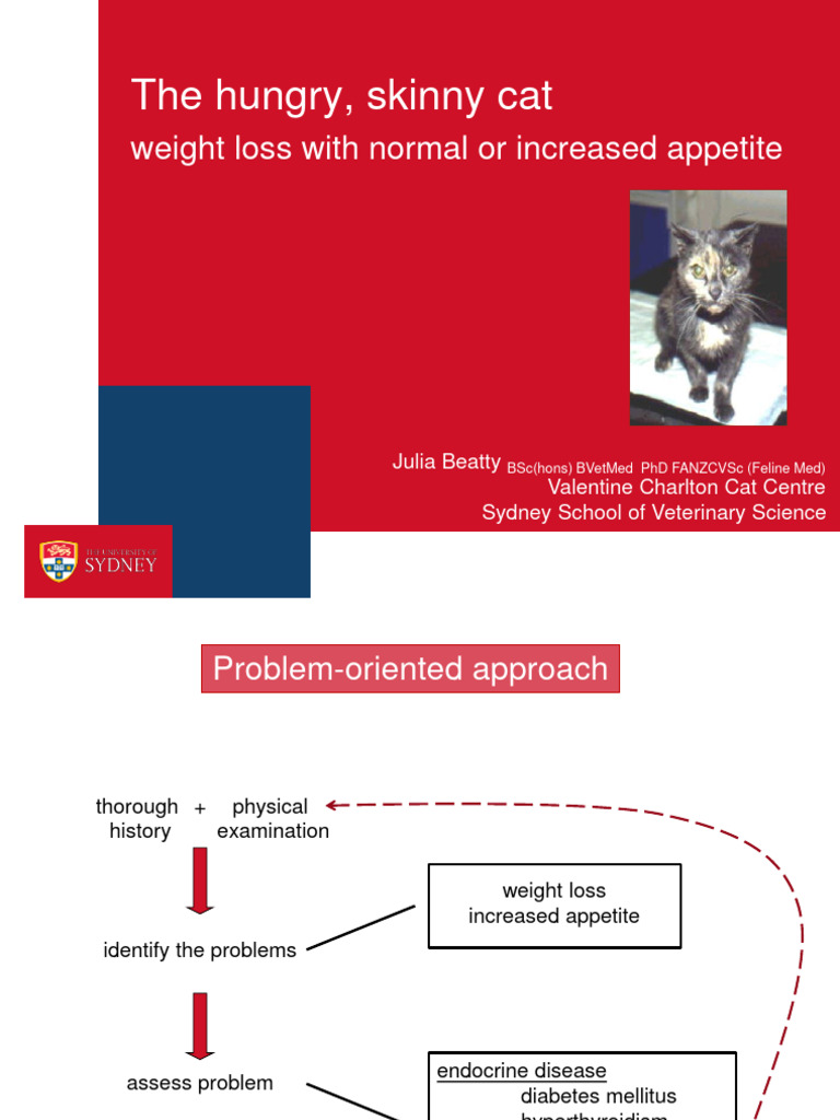 Hungry Skinny Cat Bali Beatty | PDF | Diabetes | Hyperthyroidism