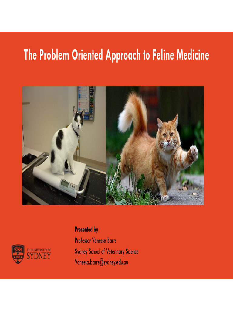 Problem Oriented Approach Bali 2018 | PDF | Physical Examination ...