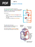 Transport in Humans Past Paper Questions-Answers | PDF | History | Politics
