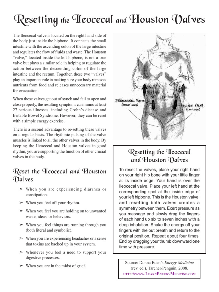 Resetting Ileocecal & Houston Valves | PDF | Gastrointestinal Tract ...