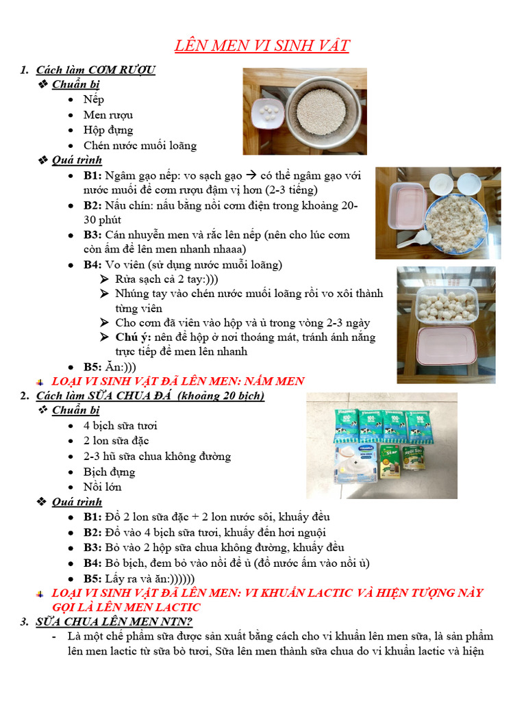 Lên Men VSV | PDF