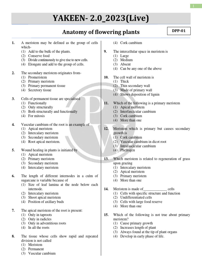 Anatomy of Flowering Plants - DPP 01 (Of Lec 02) - (Yakeen 2.0 2023 PW Stars) | PDF | Root ...