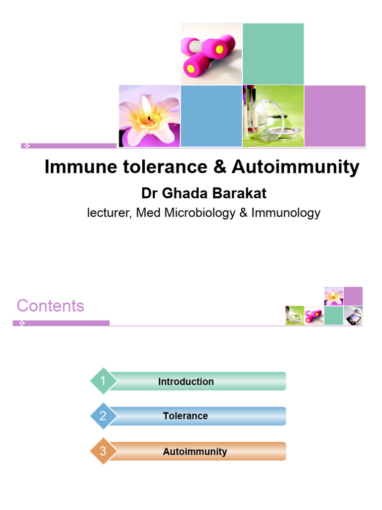 Toleranceautoimmunity2011 Manchcopy 120412164818 Phpapp01 | PDF | Immune Tolerance | Antigen