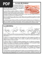 La Quitina Características y Funciones | PDF