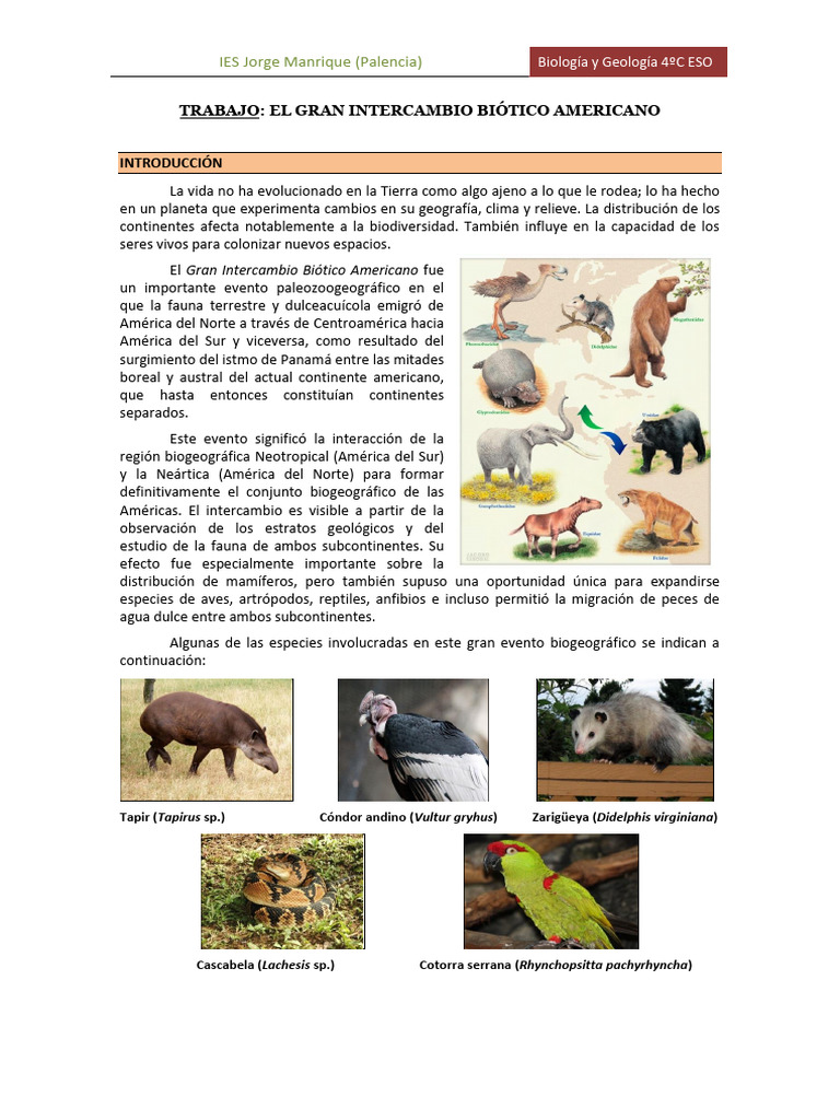 Gran Intercambio Biótico Americano | PDF | Américas | Ciencias de la Tierra