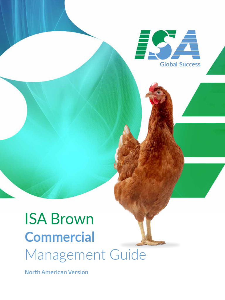 ISA Brown Management Guide Overview | PDF | Poultry Farming | Chicken