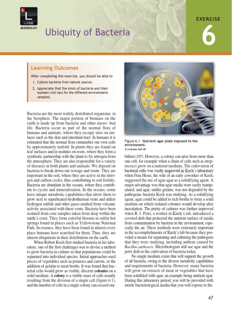 Ubiquity of MicrobesLab. Manual in Gen. Micro. 2015 | PDF | Bacteria ...