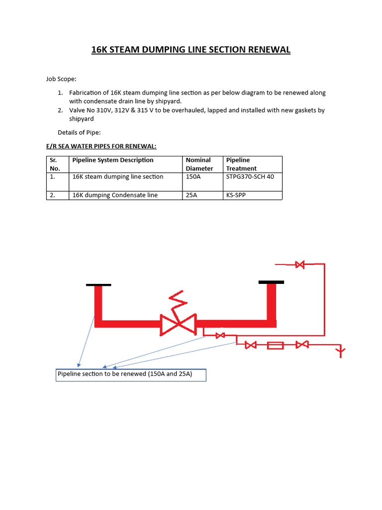 16K Steam Dumping Line Renewal | PDF