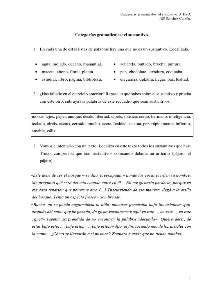 Ejercicios Sustantivos | PDF | Sustantivo