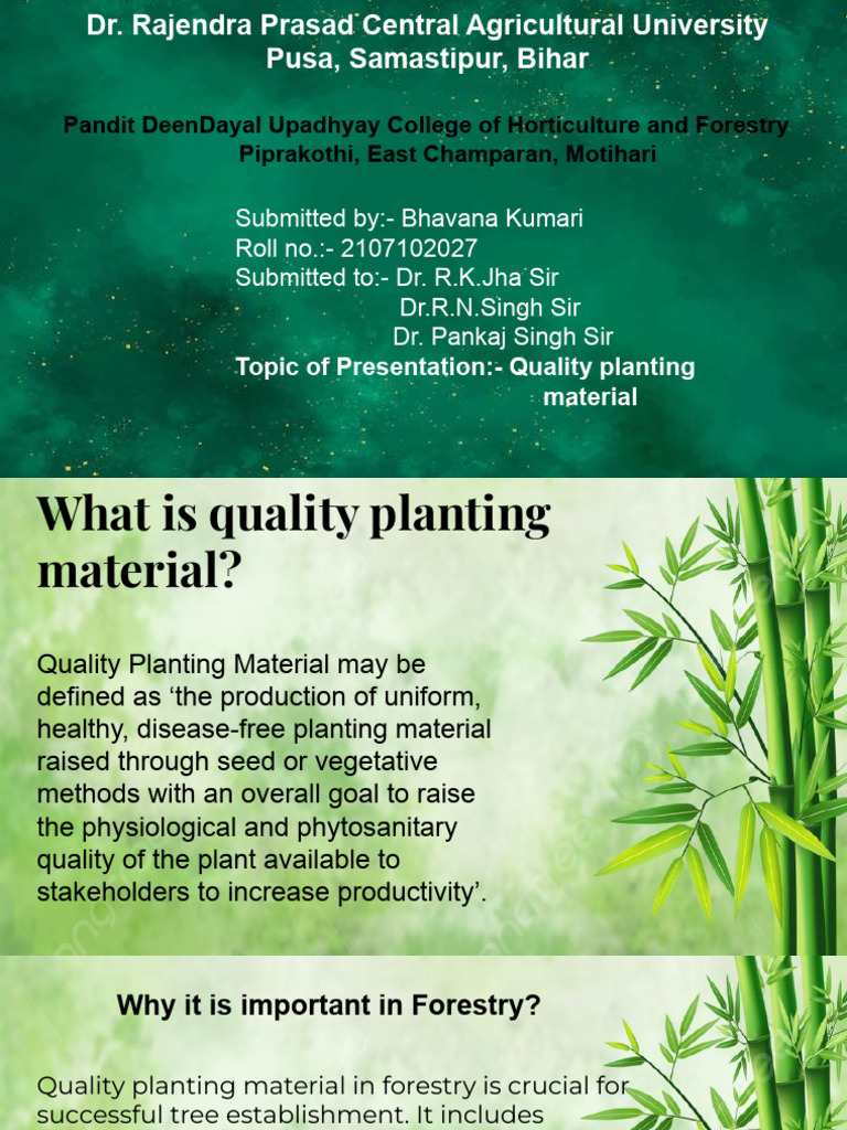 Quality Planting Material (Bhavana Kumari) | PDF | Seed | Plant Nursery
