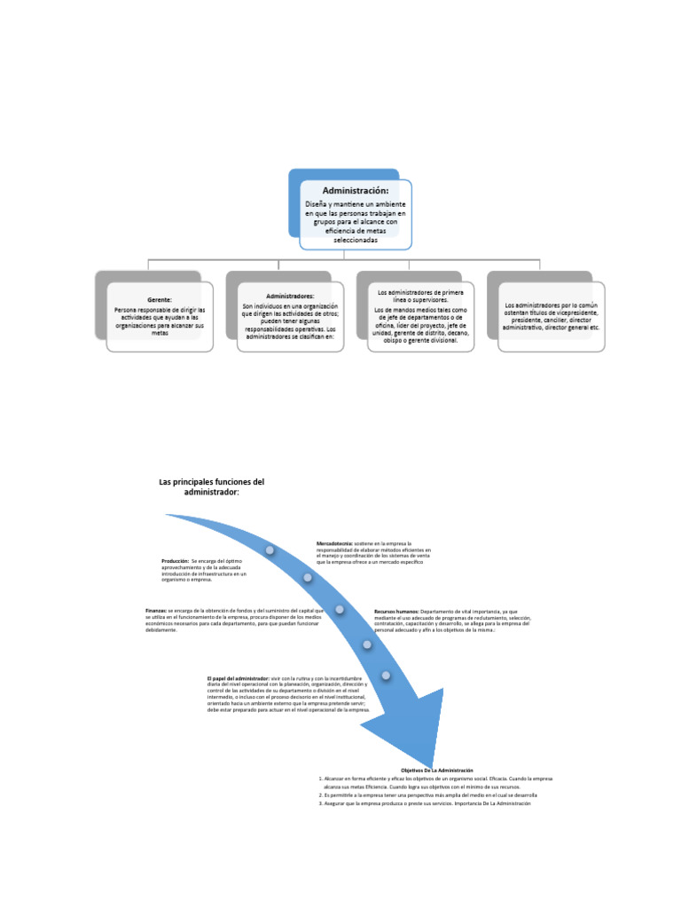 Mapa Conceptual Tarea Mayo 23 | PDF | Business | Interdisciplinariedad