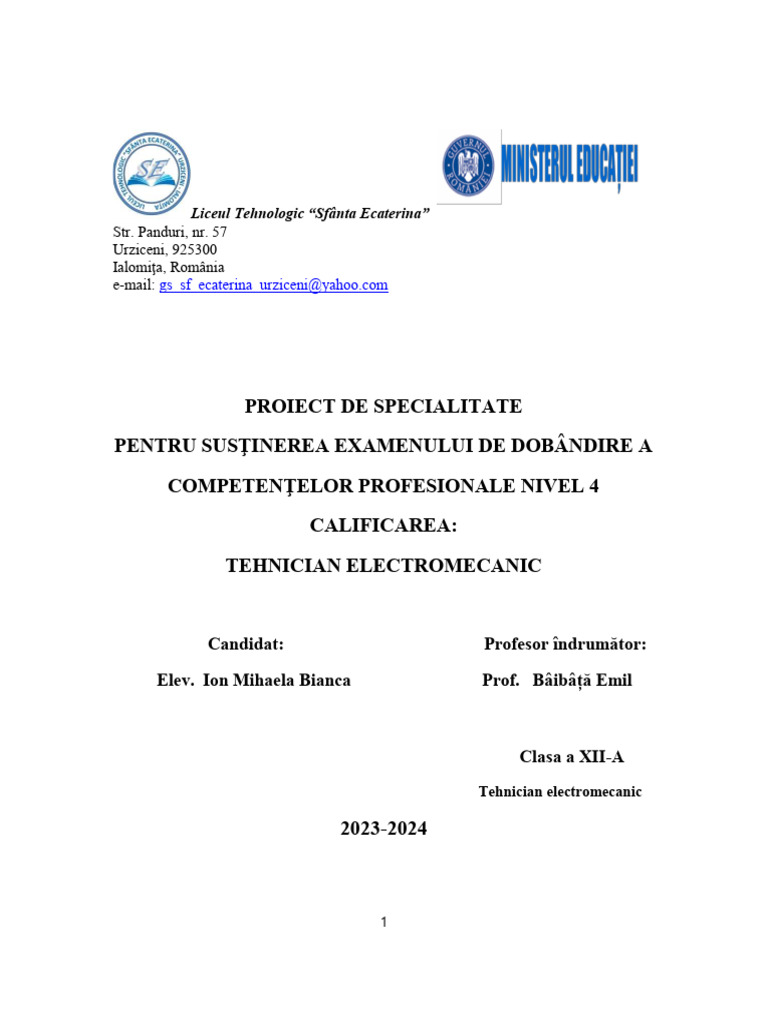 Ion Mihaela Bianca | PDF