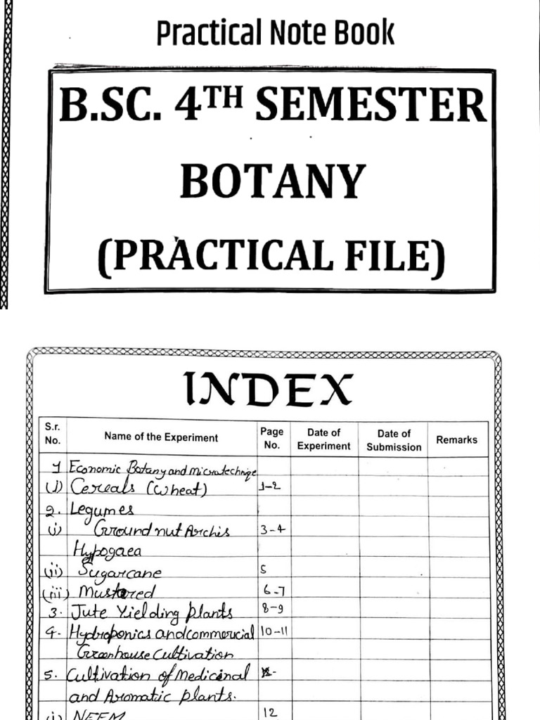 B Sc 4th Sem Botany Practical File Pdf