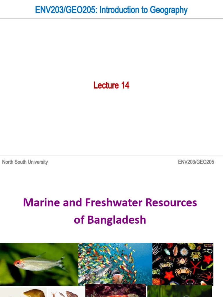 Lecture 14 - Coastal and Marine Resources in Bangladesh | PDF | Trawling | Fishery