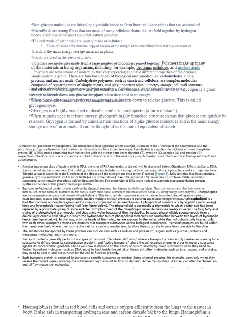 Polymers | PDF | Nucleotides | Directionality (Molecular Biology)