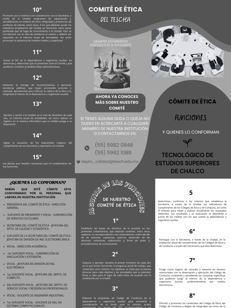 Tríptico Integración y Funciones Comité de Ética | PDF