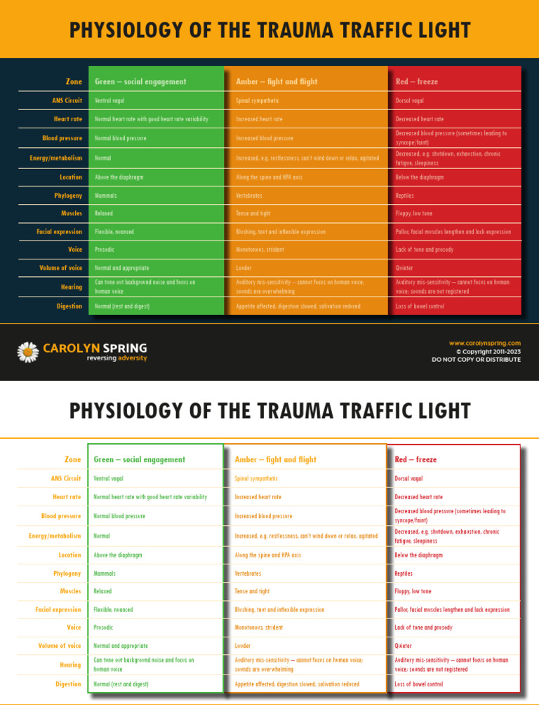 Poster Physiology of the Trauma Traffic Light Combined | PDF | Heart ...