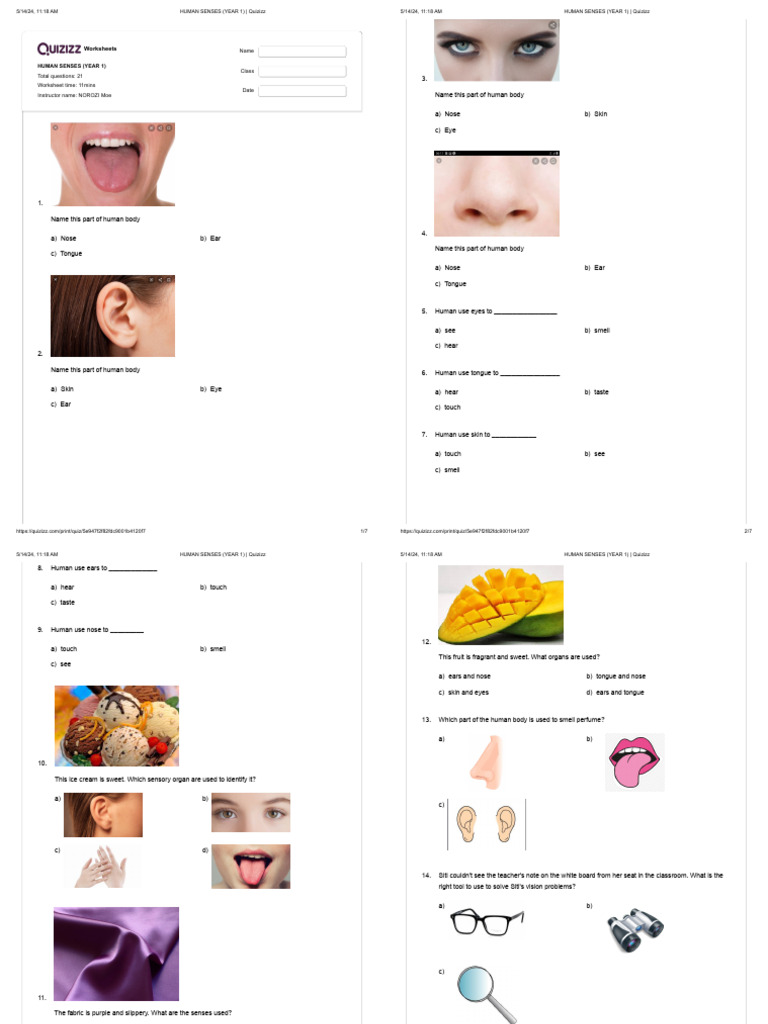 Year 1 Human Senses Worksheets | PDF | Senses | Taste