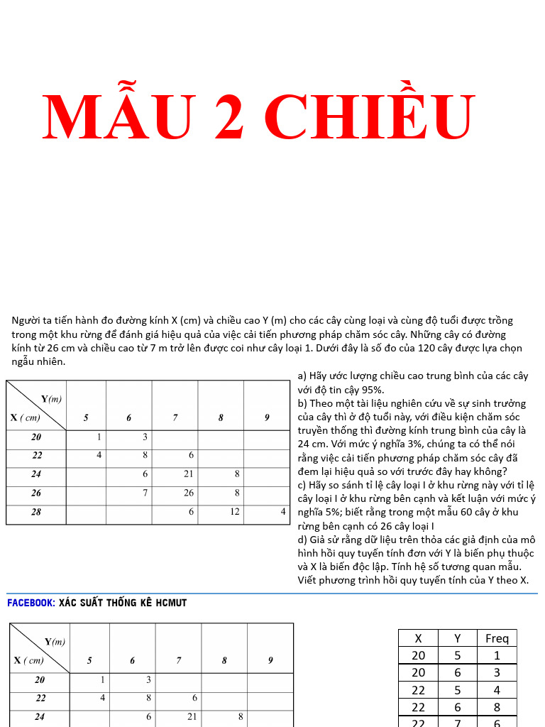Mau 2 Chieu | PDF
