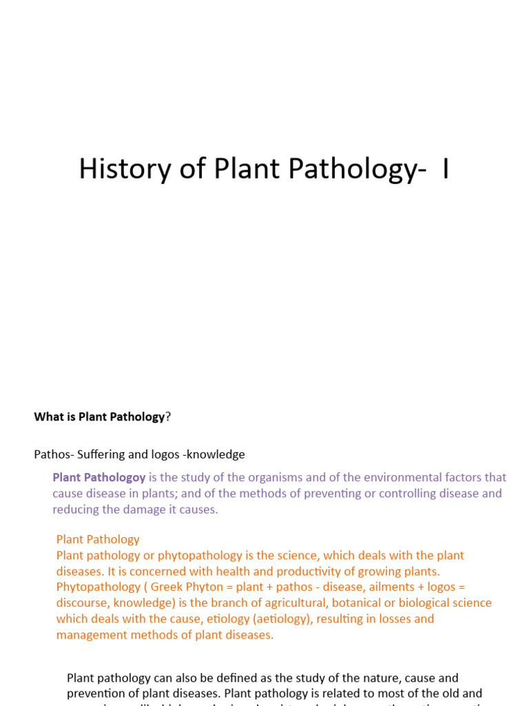 Plant Pathology: History and Key Diseases | PDF | Hamburgers | Rye