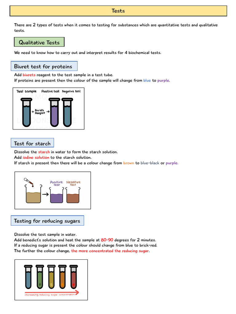 Biochemical Tests: Proteins, Starch, Sugars | PDF | Chemistry ...