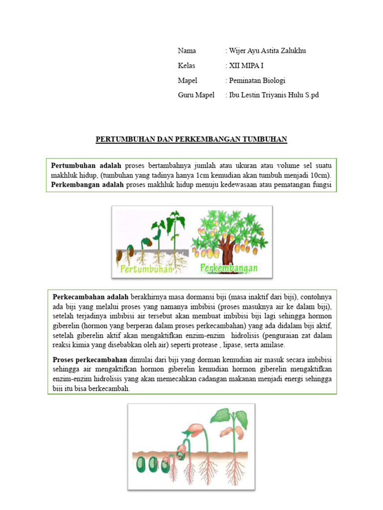 Pertumbuhan & Perkembangan Tumbuhan | PDF | Griya & Taman | Kesehatan Holistik
